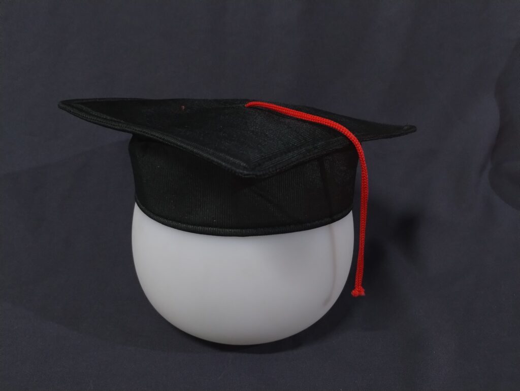 BIRRETE EGRESADOS LED - Led Moments